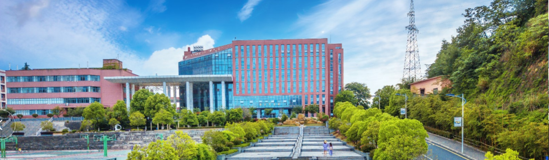 sebms_study_admin_web